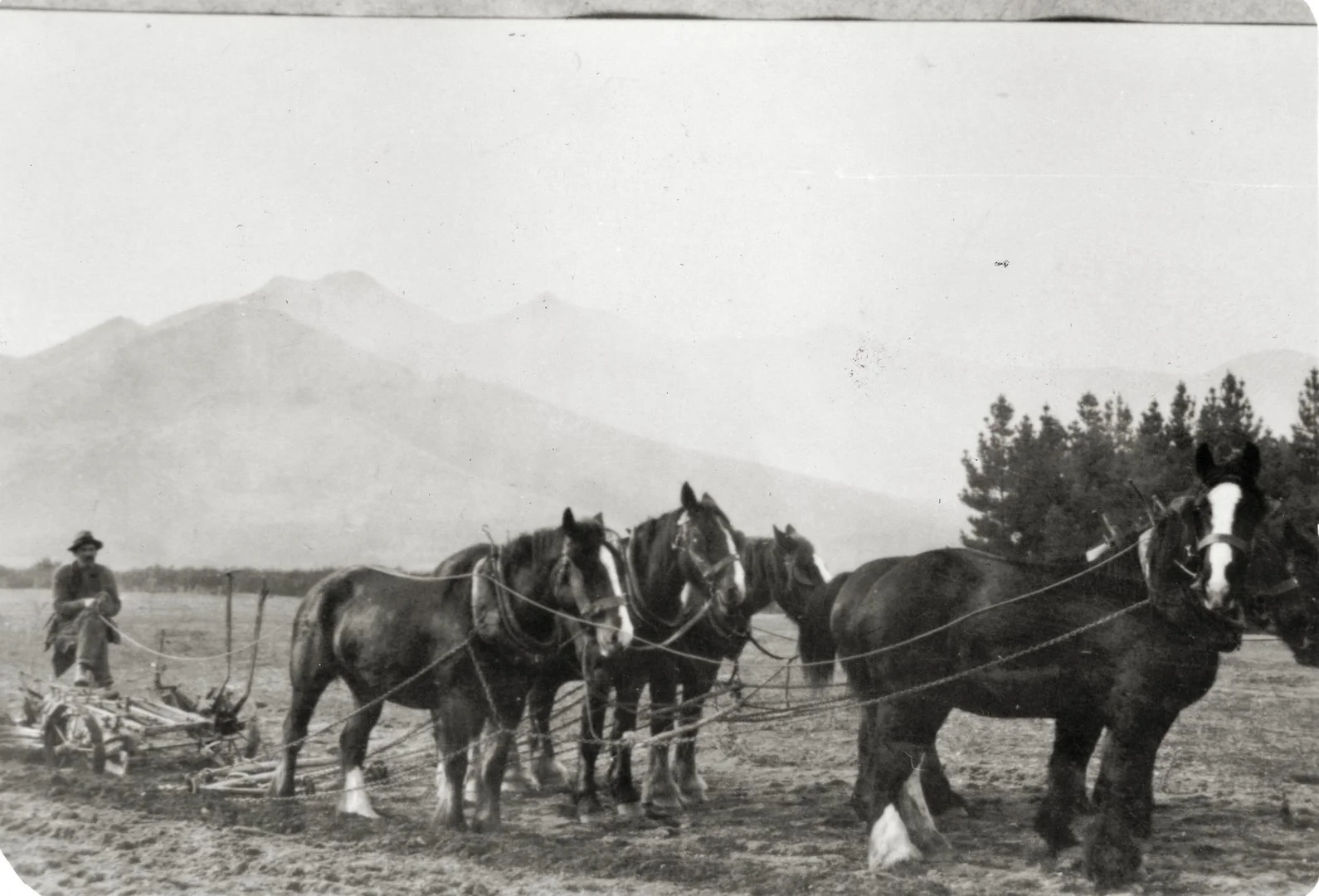 J Rippingale working the nursery | Record | DigitalNZ