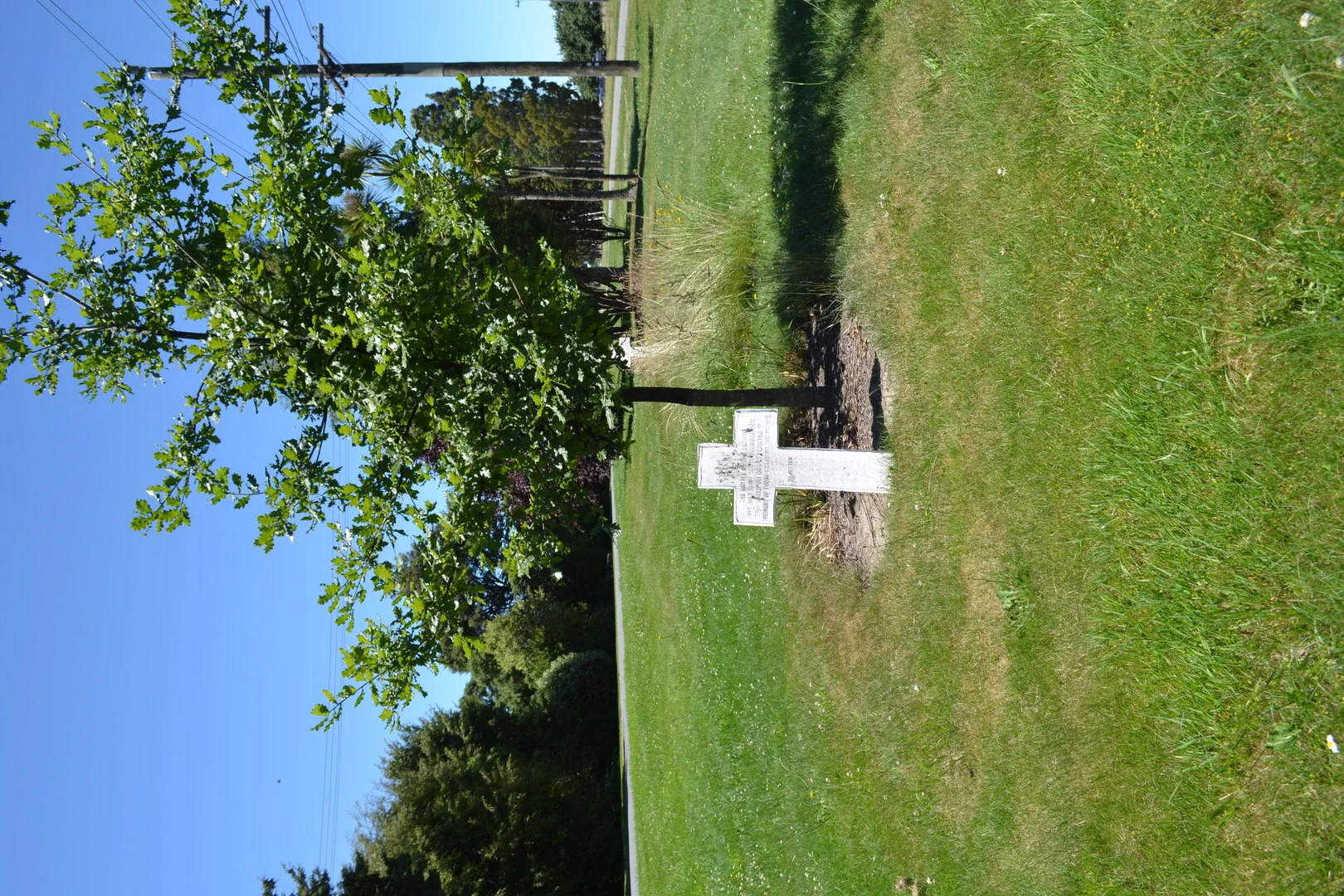 Somme memorial oak | Record | DigitalNZ