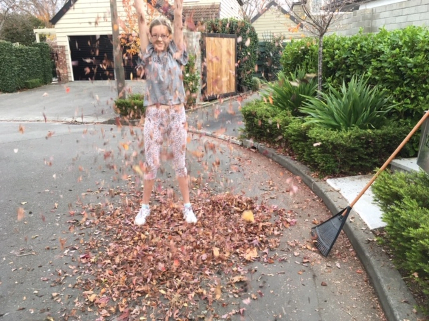 Fun with Leaves | Record | DigitalNZ