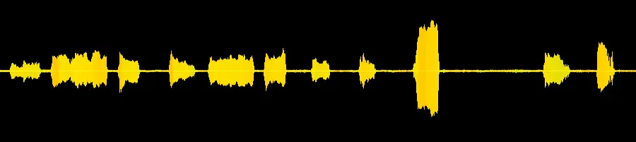 lamb bleet005.wav | Record | DigitalNZ