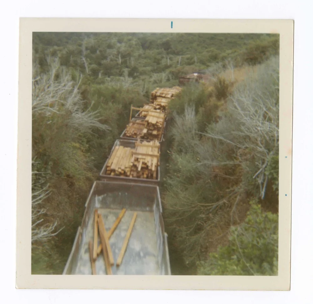 Timber Last Schedule Train | Record | DigitalNZ