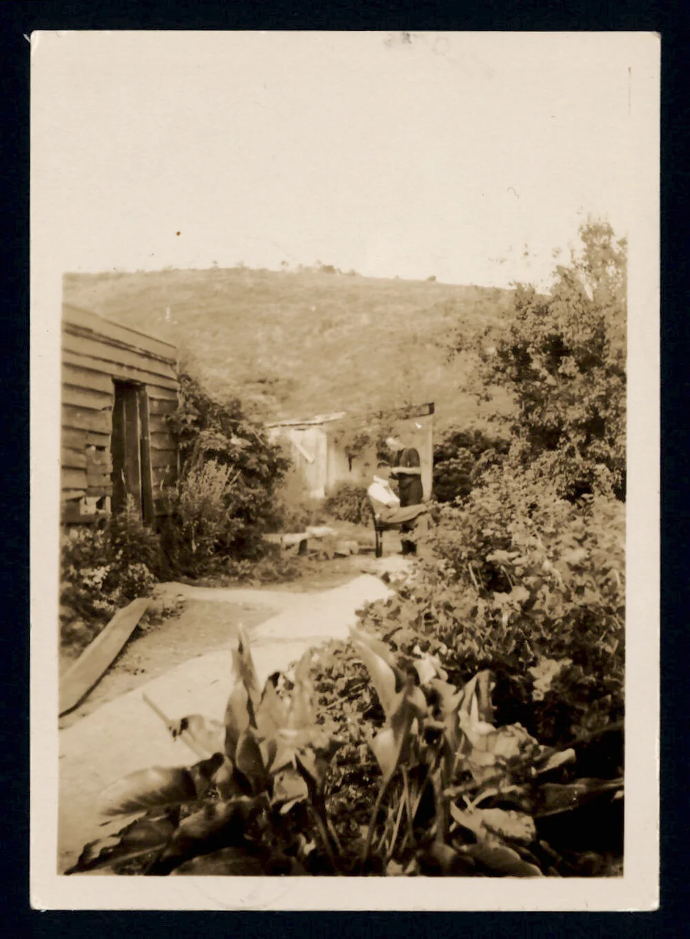 Cousins Family Photo Collection | Record | DigitalNZ