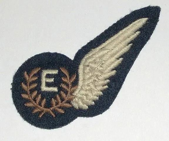 Flight Engineer's Badge RNZAF | Record | DigitalNZ