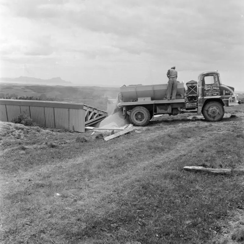 Northland farms, Nov 1961 | Record | DigitalNZ
