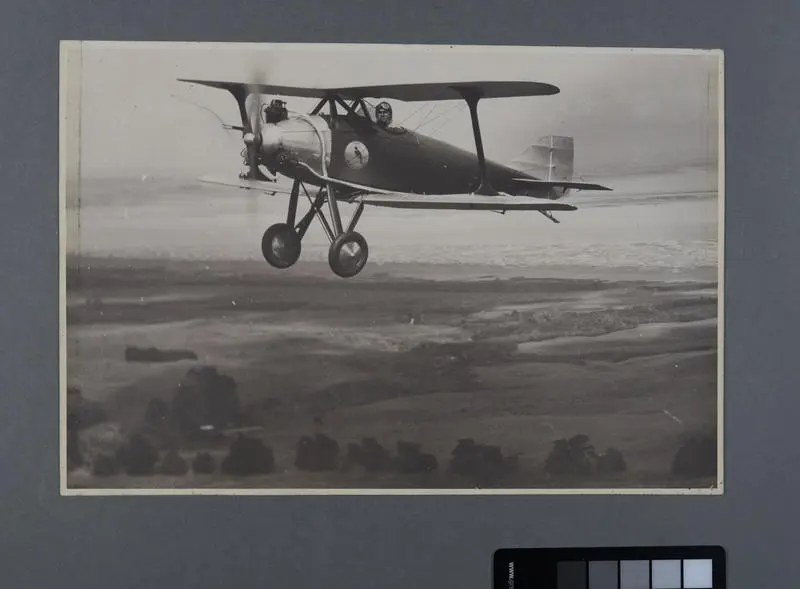 Photograph of Tui ZK-ADV in flight | Record | DigitalNZ