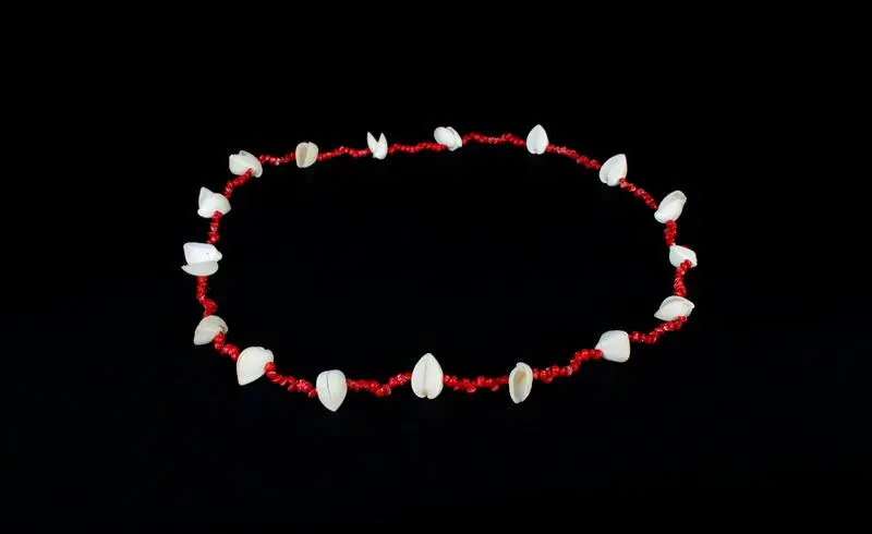 Shell Hei | Record | DigitalNZ