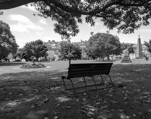 Moutoa Gardens 2020 | Record | DigitalNZ