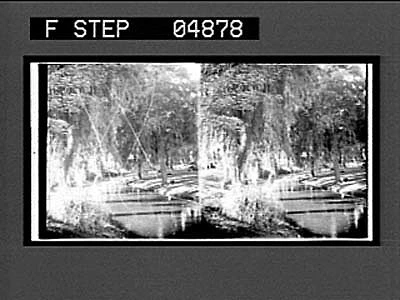 [River in New Zealand.] 9252 [interpositive.] | Record | DigitalNZ