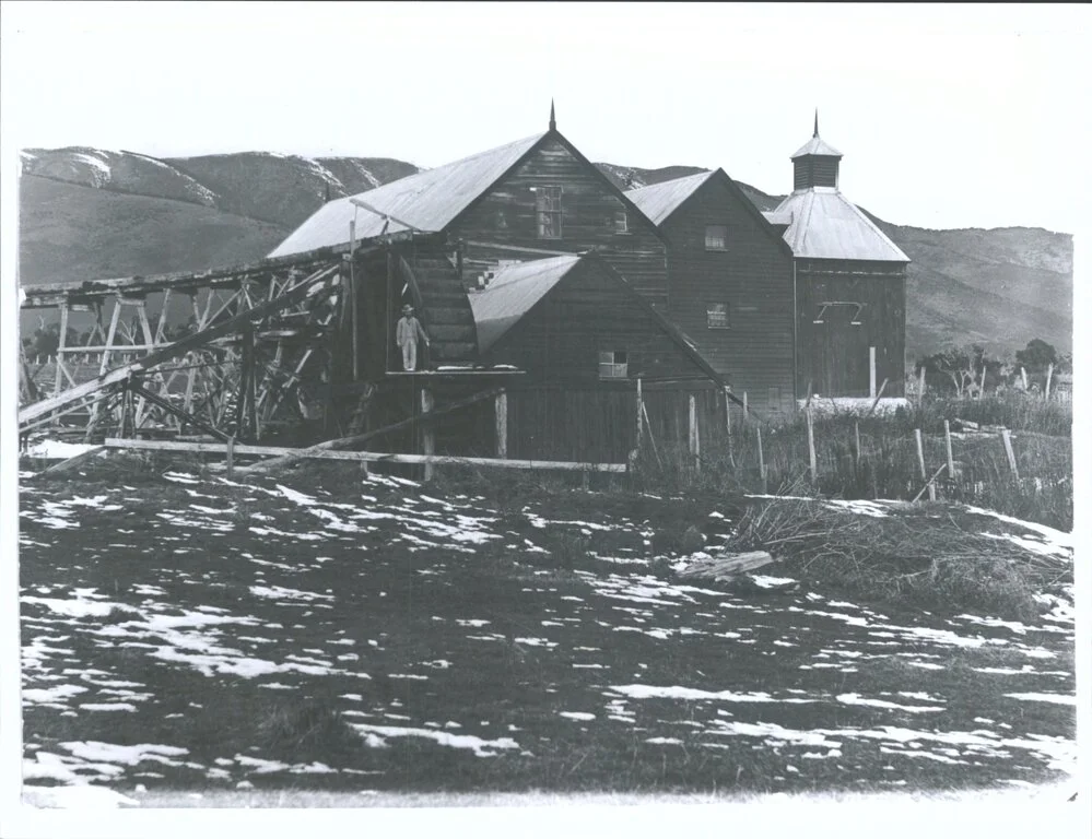 Tapanui Flour Mill, Blue Mountains in background | Record | DigitalNZ