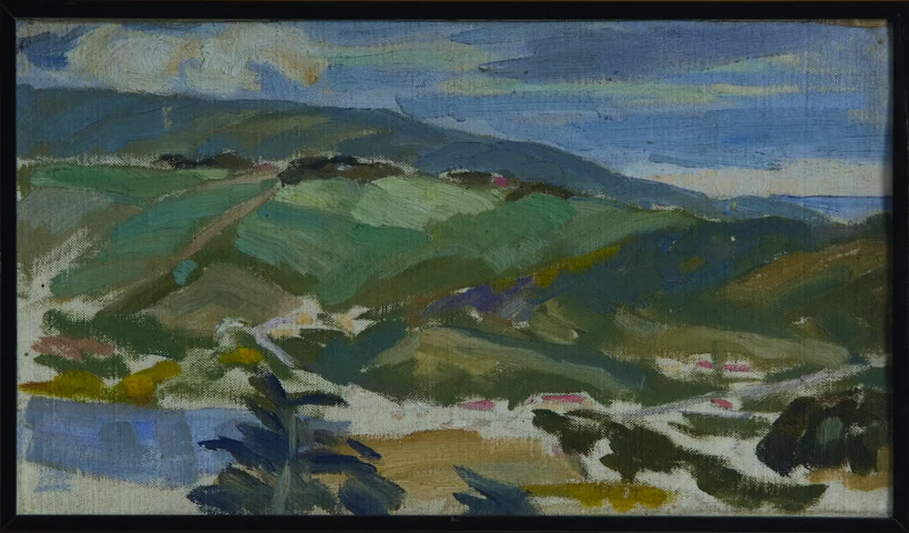 Tomahawk, Dunedin | Record | DigitalNZ