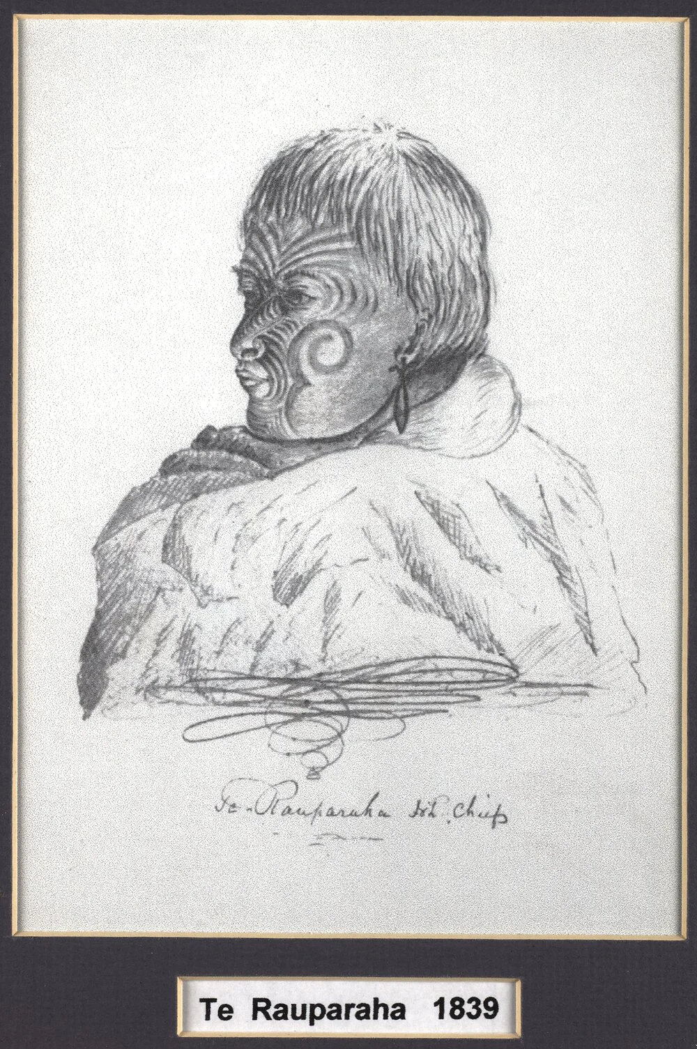 Te Rauparaha | Record | DigitalNZ