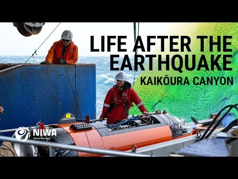 Deep sea science in New Zealand | Record | DigitalNZ