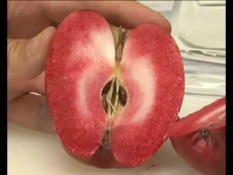 Richard Espley - Revealing Red Flesh | Record | DigitalNZ