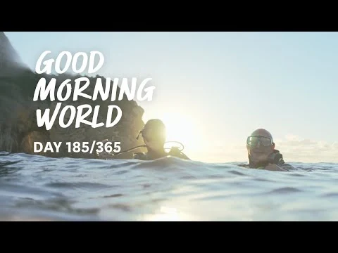 Good Morning World | Day 185 of 365 - Diving, Northland | Record | DigitalNZ