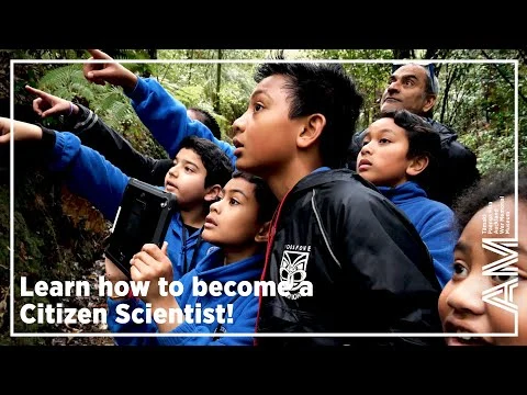 CSI: Pukekawa - Auckland Museum | Record | DigitalNZ