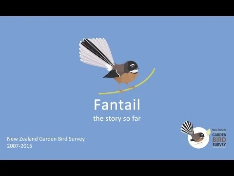 Fantail: the story so far. New Zealand Garden Bird Survey 2007 - 2015 | Record | DigitalNZ