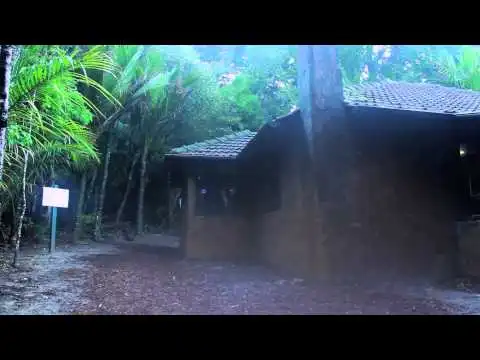 OliveDavis | Record | DigitalNZ