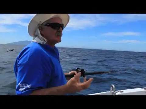 Seabird Safety: A Guide for Fishers | Record | DigitalNZ