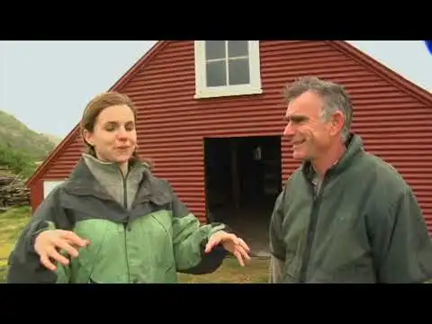 Meet the Locals: Mana sheep | Record | DigitalNZ