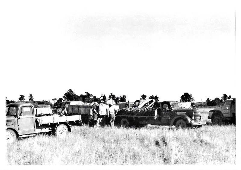 Eastern Bush, Ōrawia & Ōtautau District's - Moffat Farming History ...