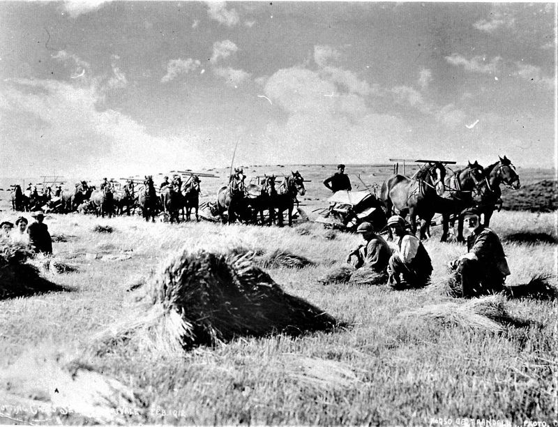 Eastern Bush, Ōrawia & Ōtautau District's - Moffat Farming History ...