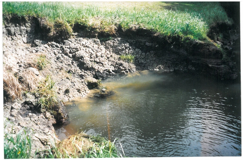 Pakuranga Creek | Record | DigitalNZ