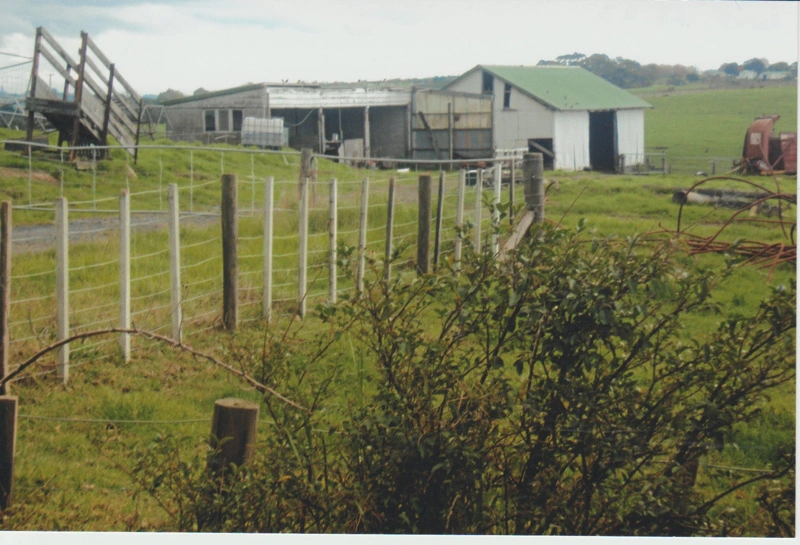 The Hattaway milking shed | Record | DigitalNZ