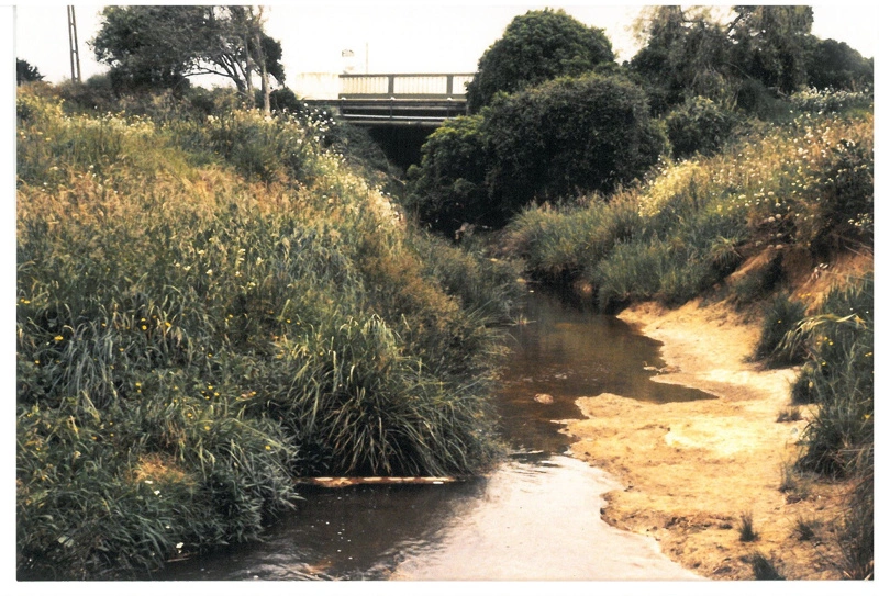 Botany Creek | Record | DigitalNZ