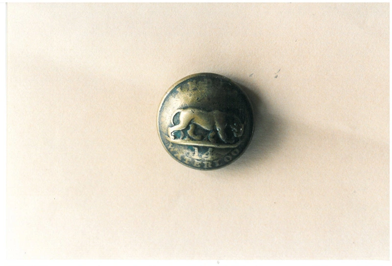 Brass buttons from the 14th Regiment of Foot. | Record | DigitalNZ