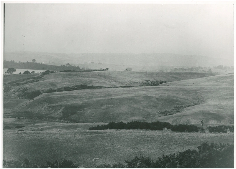 Above Cockle Bay c.1900 | Record | DigitalNZ