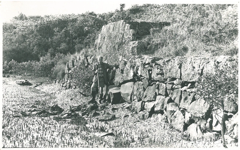 Stone foundations Ti Rakau bridge | Record | DigitalNZ