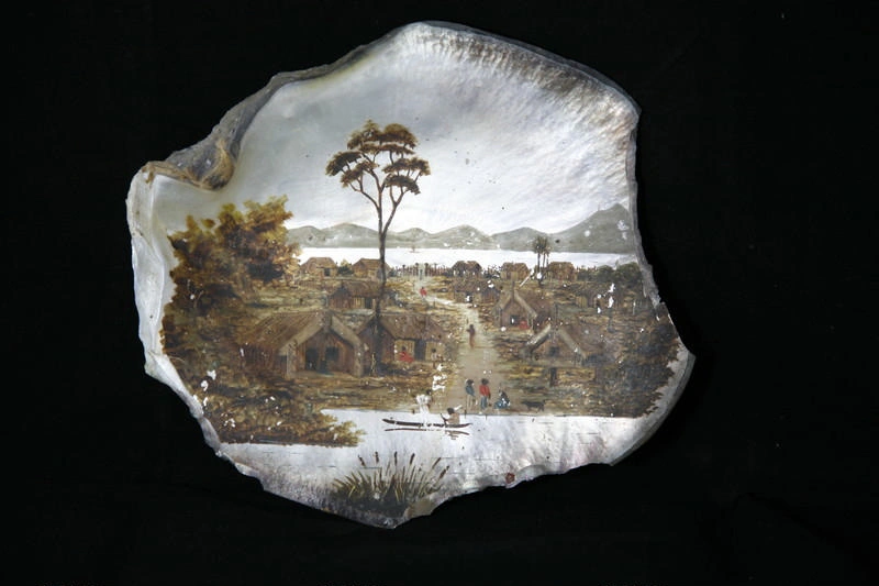 Painted shell | Record | DigitalNZ