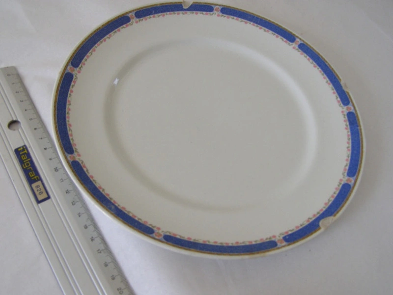 Plate | Record | DigitalNZ