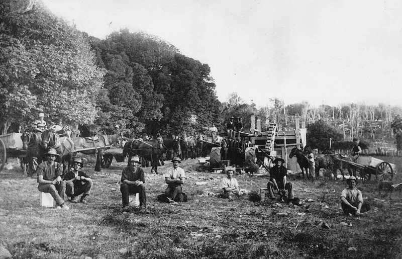 Gum Digging in Mangawai | Record | DigitalNZ