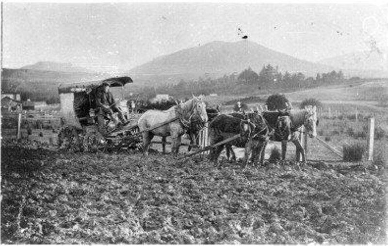 Chas Taylor's Mail Coach Winter 1912. | Record | DigitalNZ