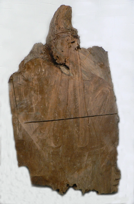 Kauri Timber Slab | Record | DigitalNZ