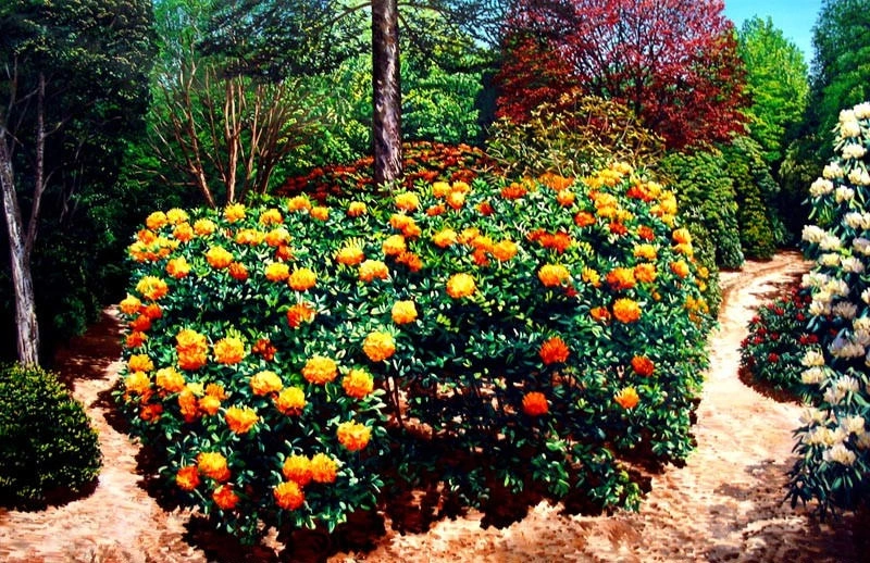 Cross Hills | Record | DigitalNZ