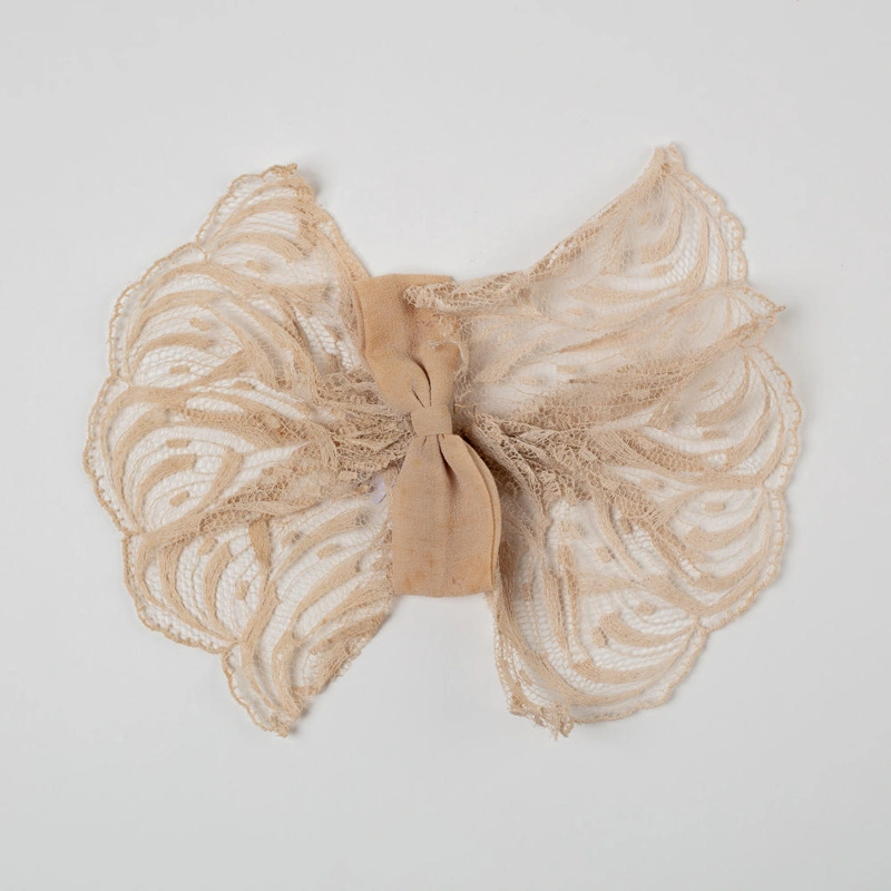 Lace, Piece with Pin | Record | DigitalNZ