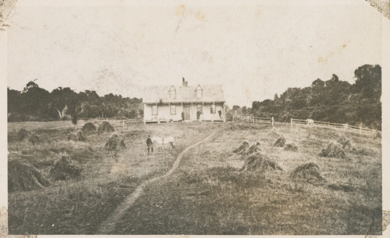 Photograph, Anderson Homestead Wyndham Valley | Record | DigitalNZ