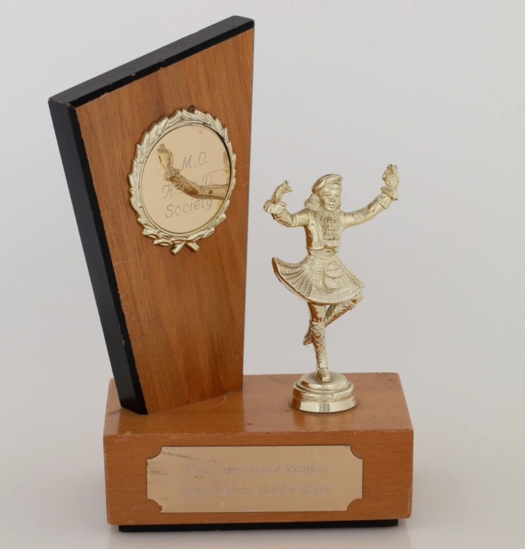 Trophy, Kirsty Macnicol Trophy Most Points Under 18 yrs | Record | DigitalNZ