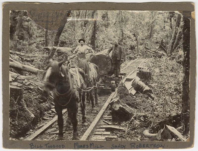Photograph, More's Mill tramway scene with Bill Toogood and Sandy ...