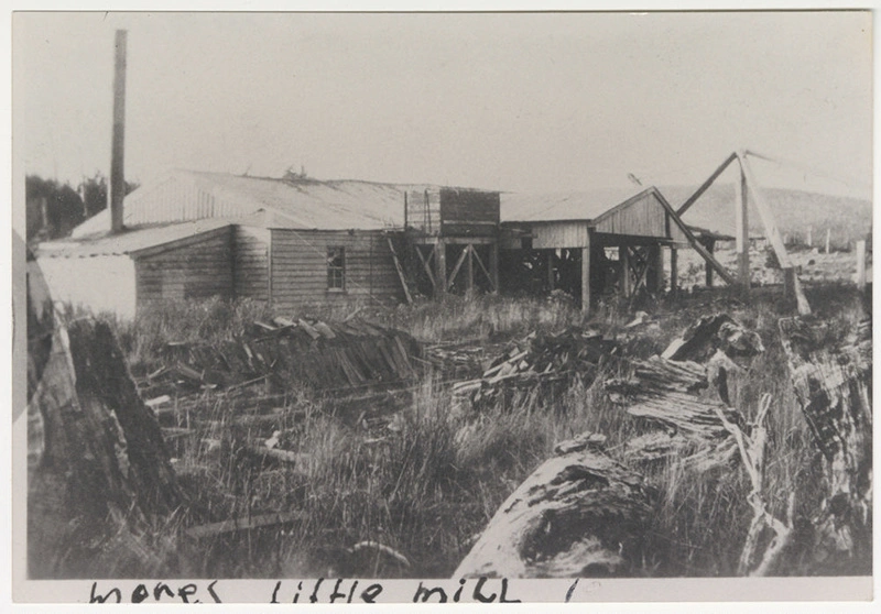 Photograph, More's 'Little Mill' | Record | DigitalNZ