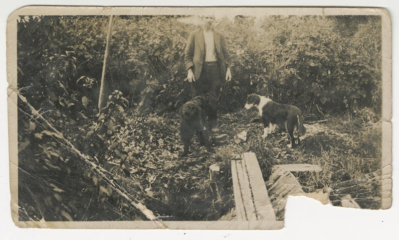 Photograph, Mr Driver and dogs | Record | DigitalNZ