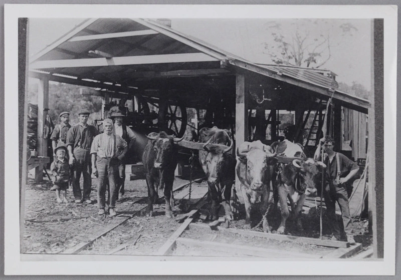 Photograph, Bates Mill | Record | DigitalNZ