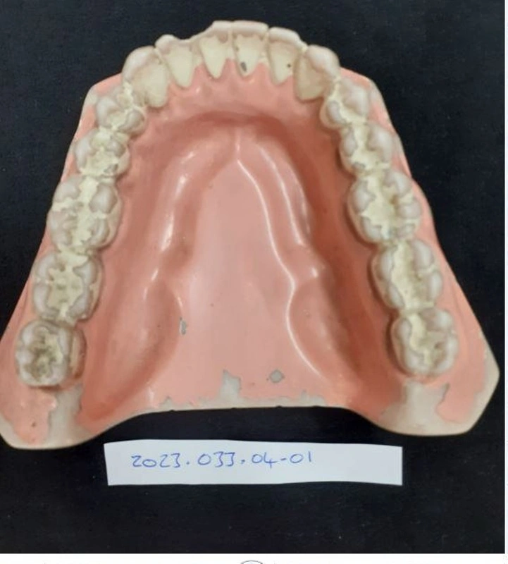 Teeth, models | Record | DigitalNZ