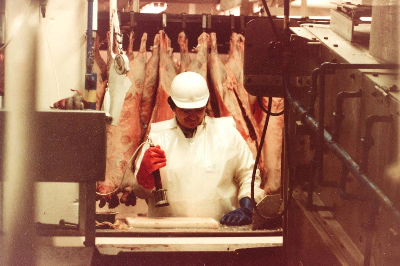 Photograph [Stamping Lamb, Mataura Freezing Works] | Record | DigitalNZ