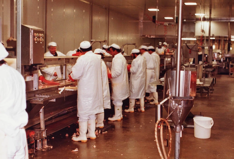 Photograph [Lamb Boning Room, Mataura Freezing Works] | Record | DigitalNZ