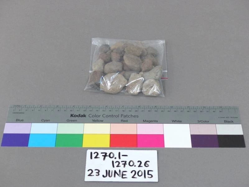 Moa gizzard stone | Record | DigitalNZ