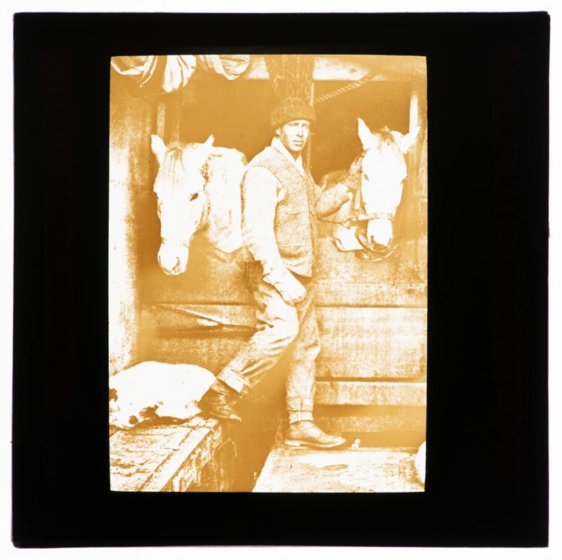 Man with two horses in a stable, Captain Oates. | Record | DigitalNZ