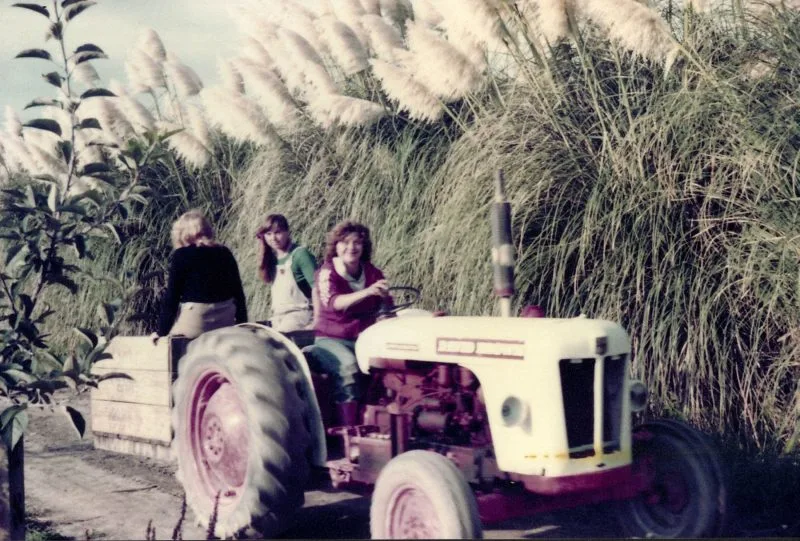 Tractors – David Brown 990 | Record | DigitalNZ